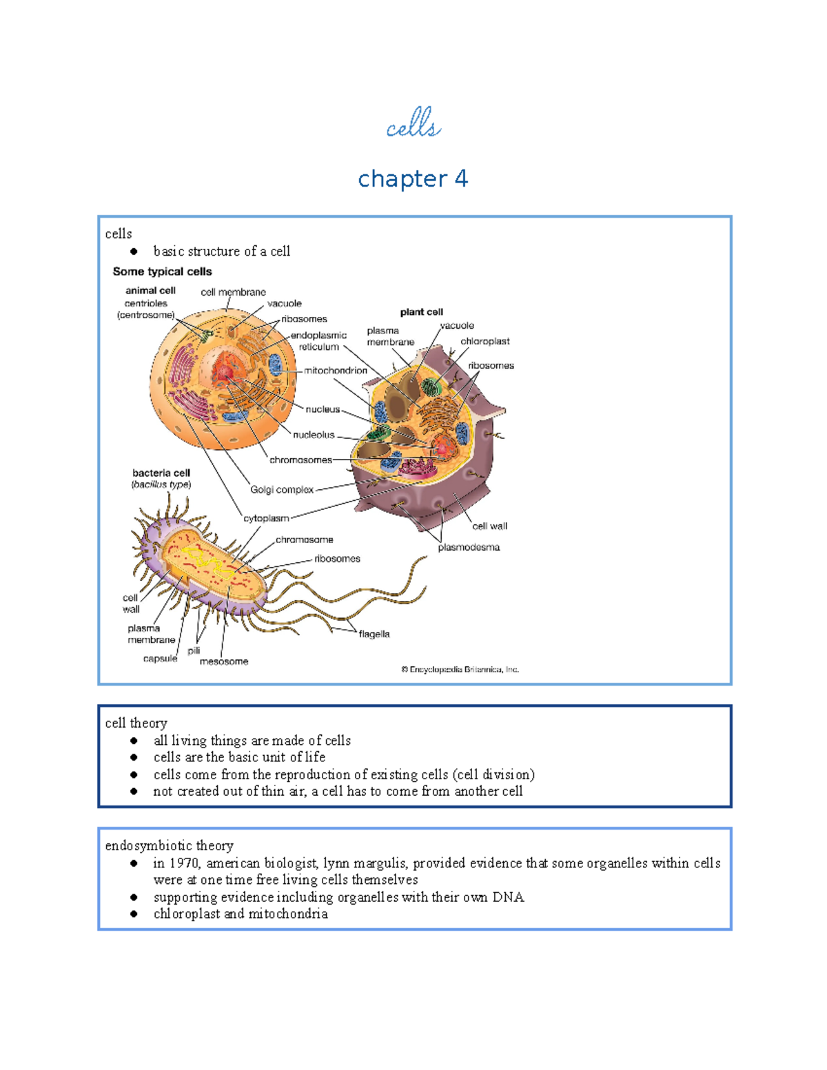 Cells Notes, ch 4 - cells chapter 4 cells basic structure of a cell ...