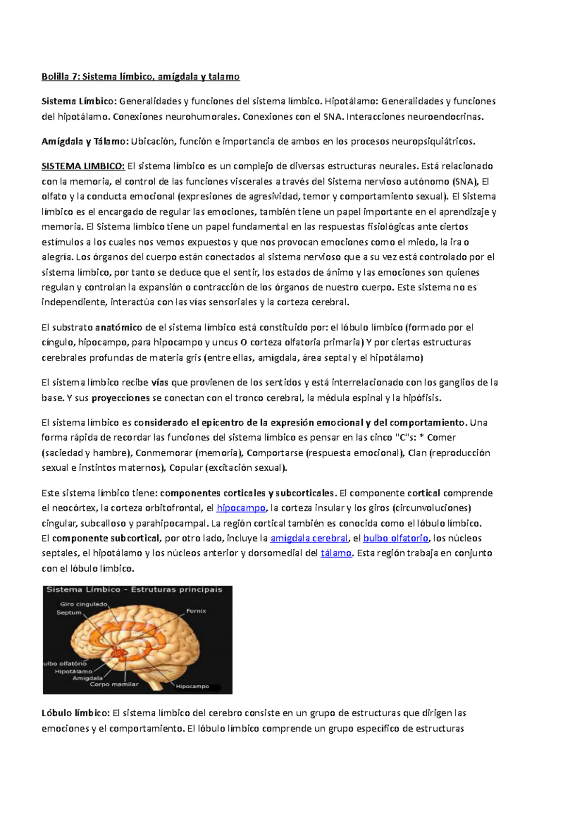 Bolilla 7 - Bolilla 7: Sistema límbico, amígdala y talamo Sistema ...