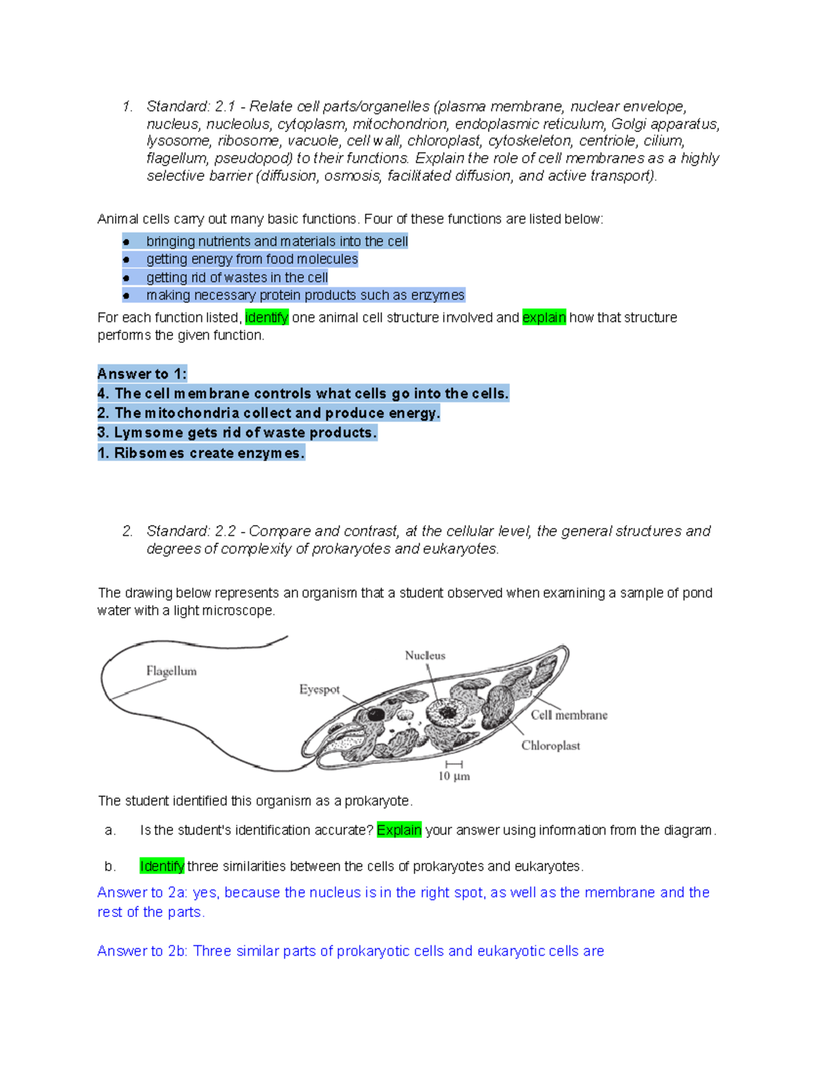 Isabella De Sousa - MCAS Open Response Biochemistry and Cell Biology ...
