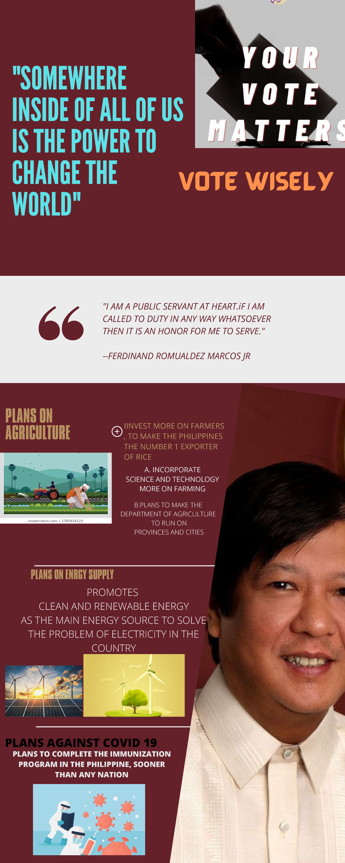 VOTING WISELY IN AN ELECTION - PLANS ON ENRGY SUPPLY PLANS ON ...