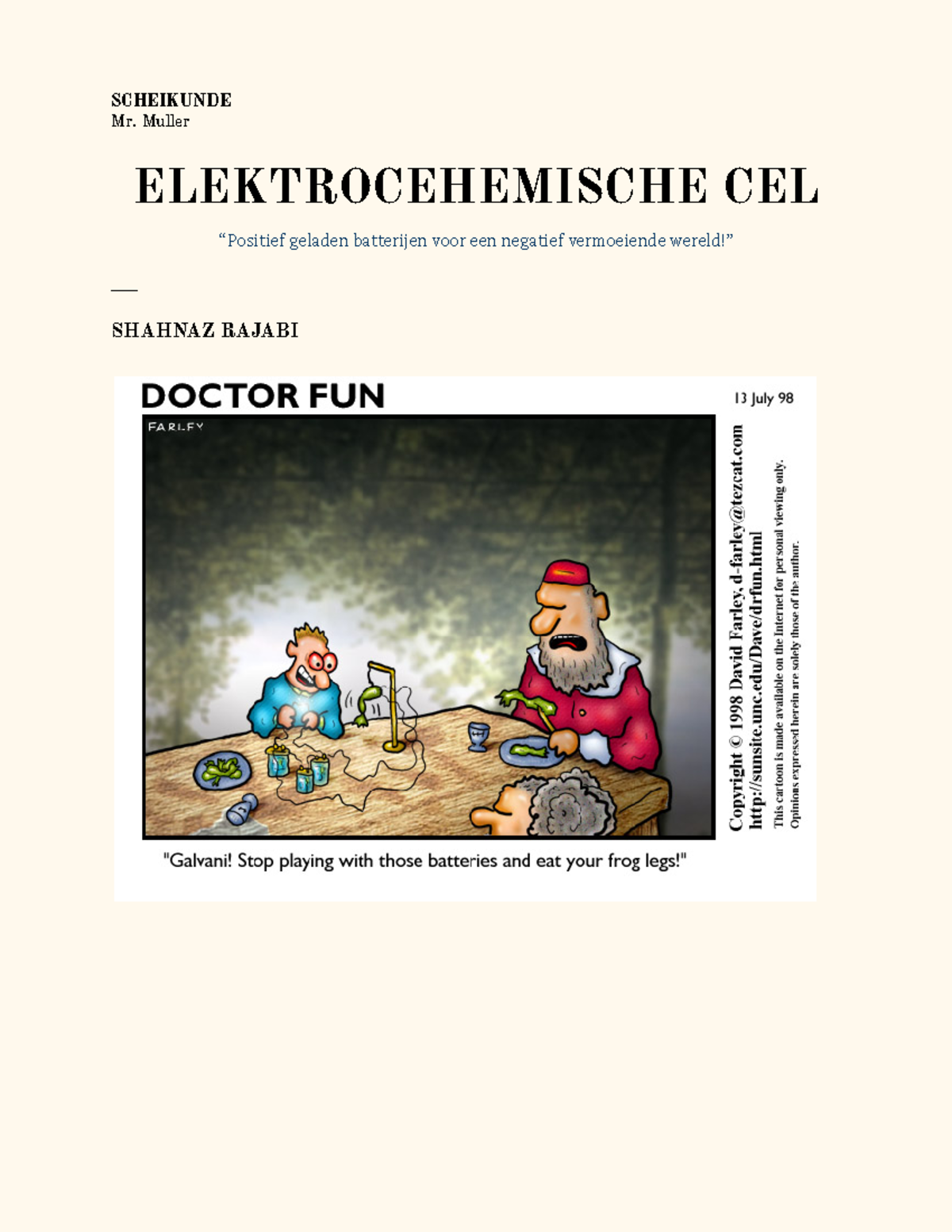 Werkstuk - scheikunde elektrochemisch cel - SCHEIKUNDE Mr. Muller ...