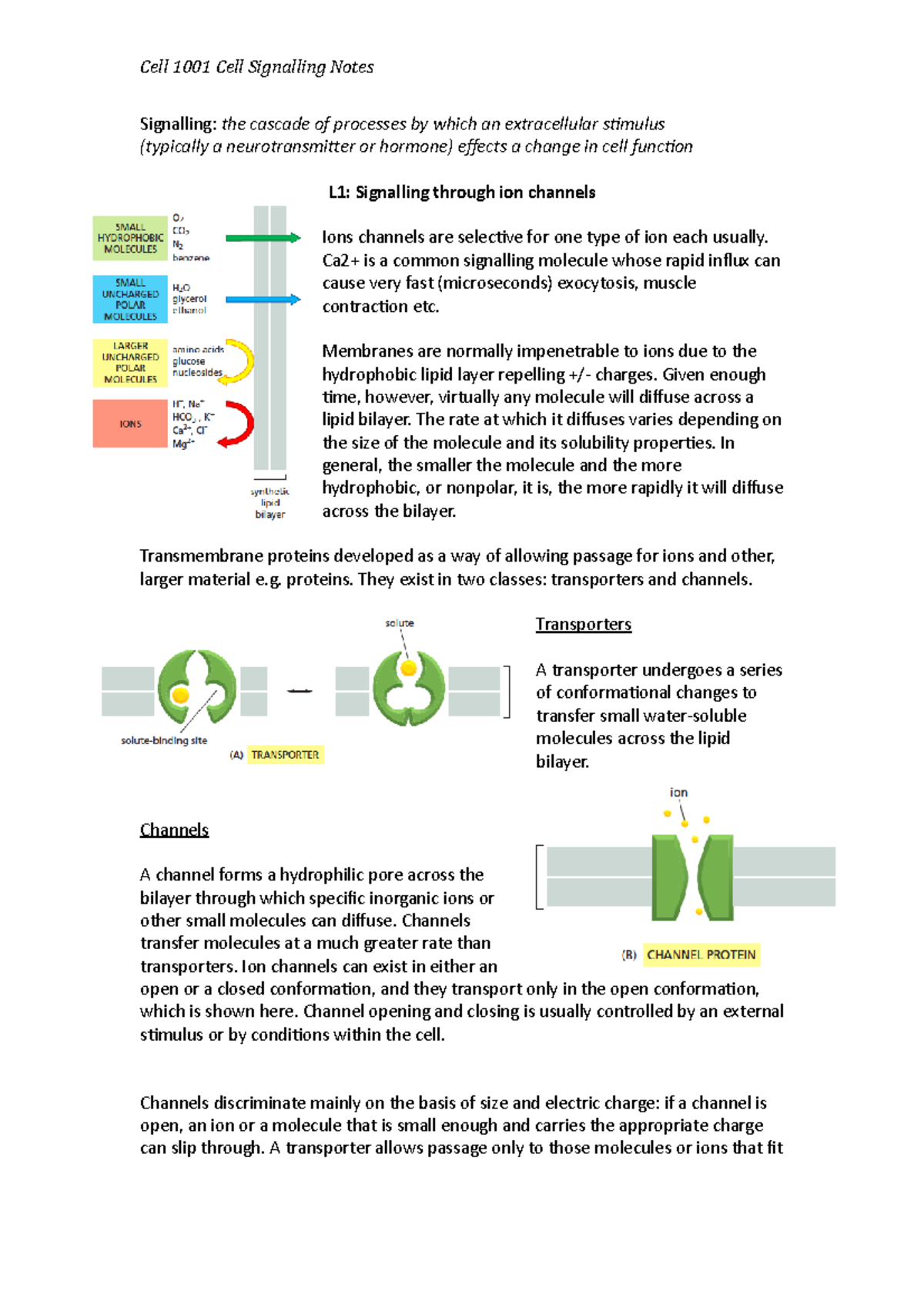 Cell Signalling Notes Is A Common Signalling Molecule Whose Rapid