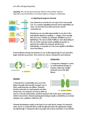 Cell Signaling MCQ - Chapter 11 Multiple Choice Practice Test Multiple ...