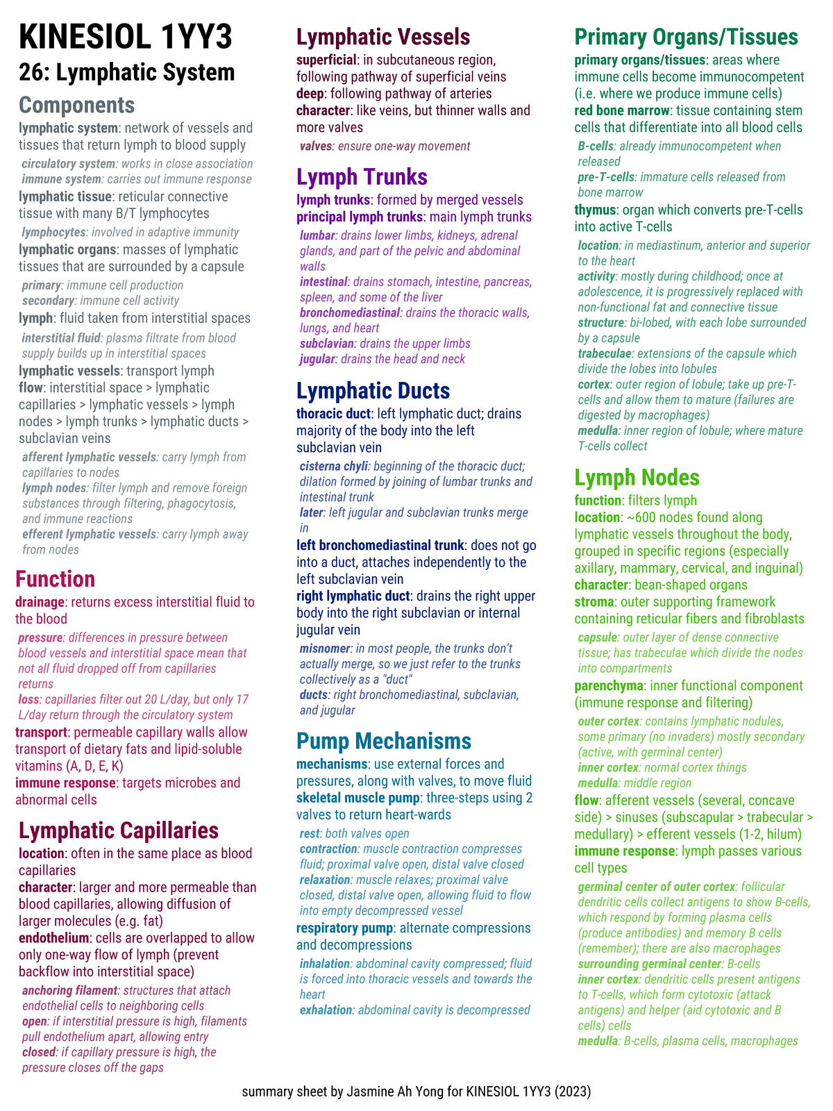 anat physio quiz 9 - 26: Lymphatic System KINESIOL 1YY Components ...