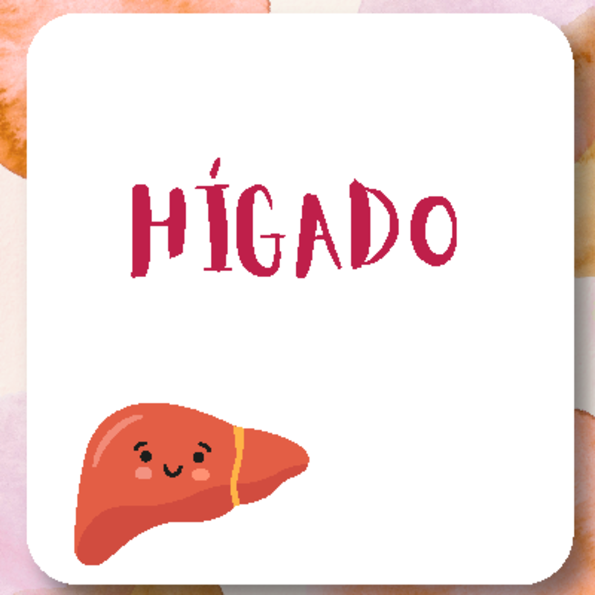 Hígado - HÍGADO ANATOMÍA Y FISIOLOGÍA DEL H ́ ́IGADO El hígado normal ...