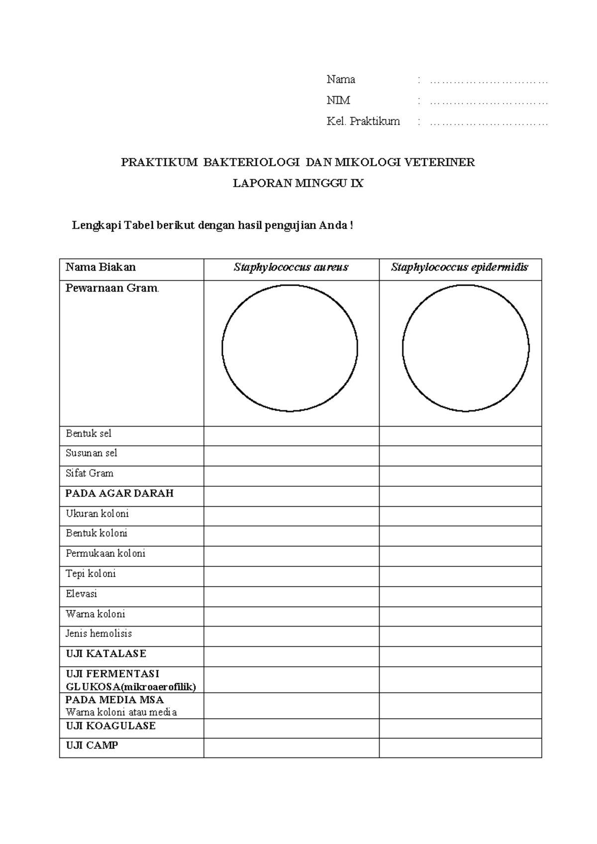 Lap Prakt Minggu 9 - abc - Nama NIM Kel. Praktikum