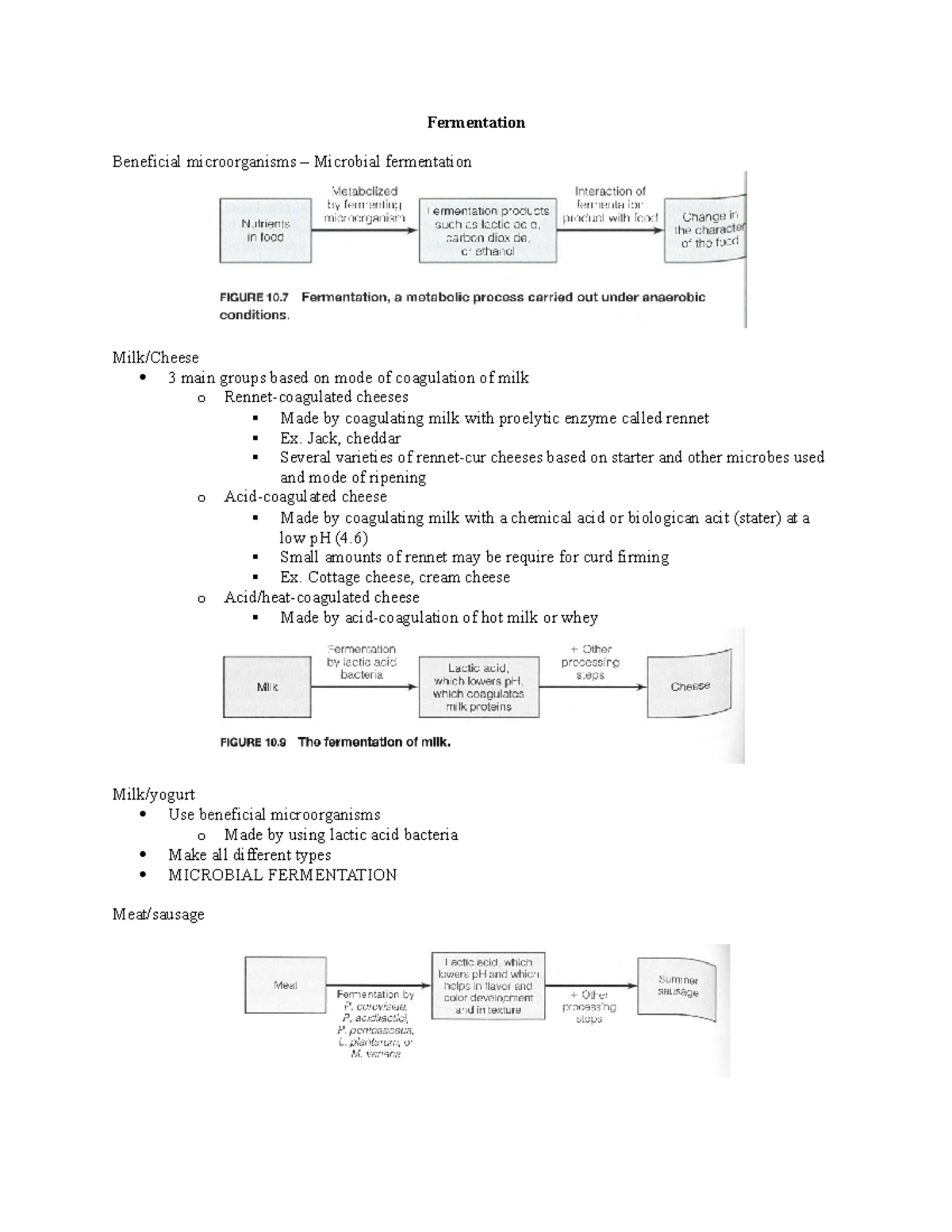 Fermentation - Lecture notes Week 5 Day 1 - Fermentation Beneficial ...