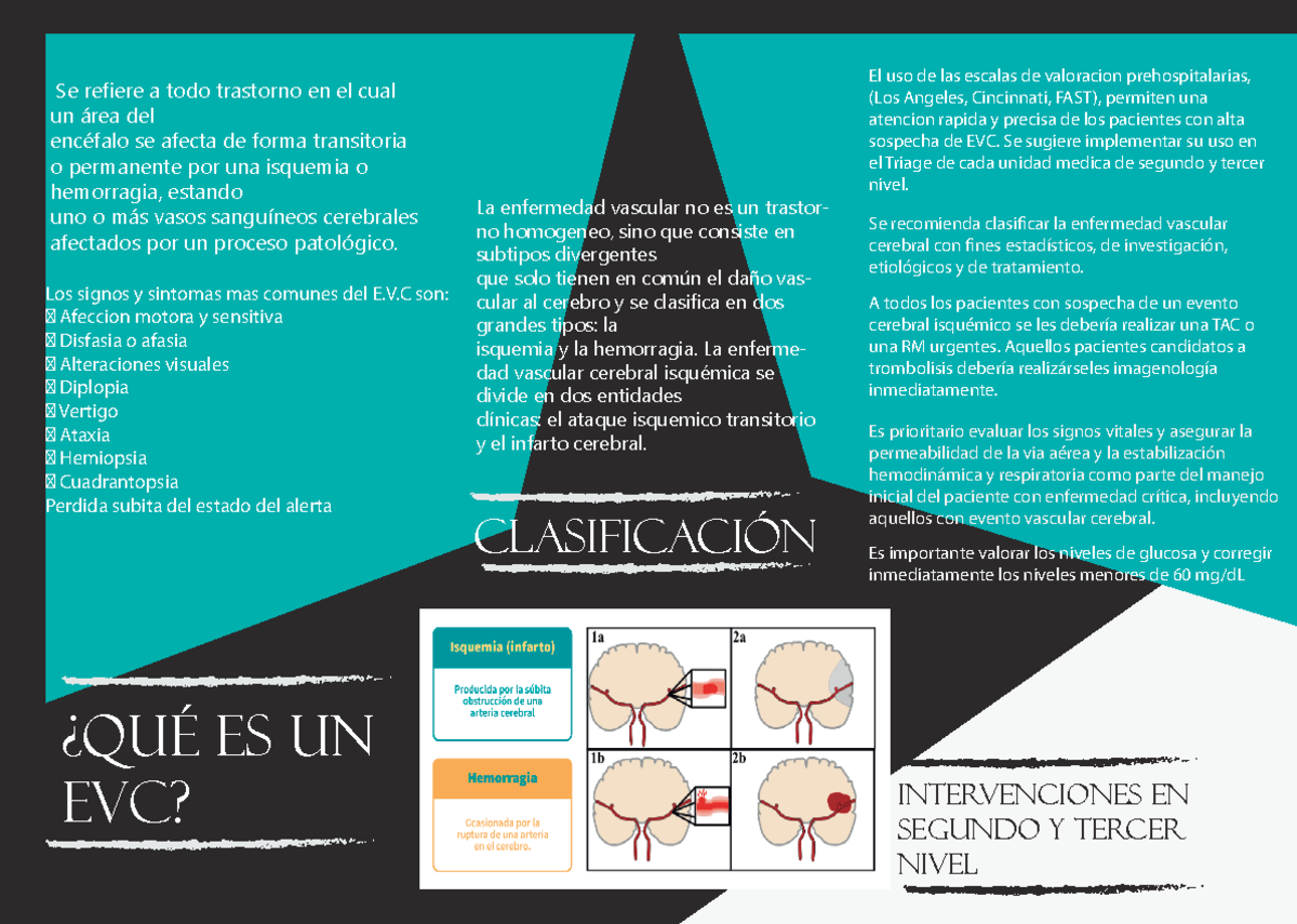 EventoCerebro Vascular Triptico - ¿Qué es un evc? Se refiere a todo ...