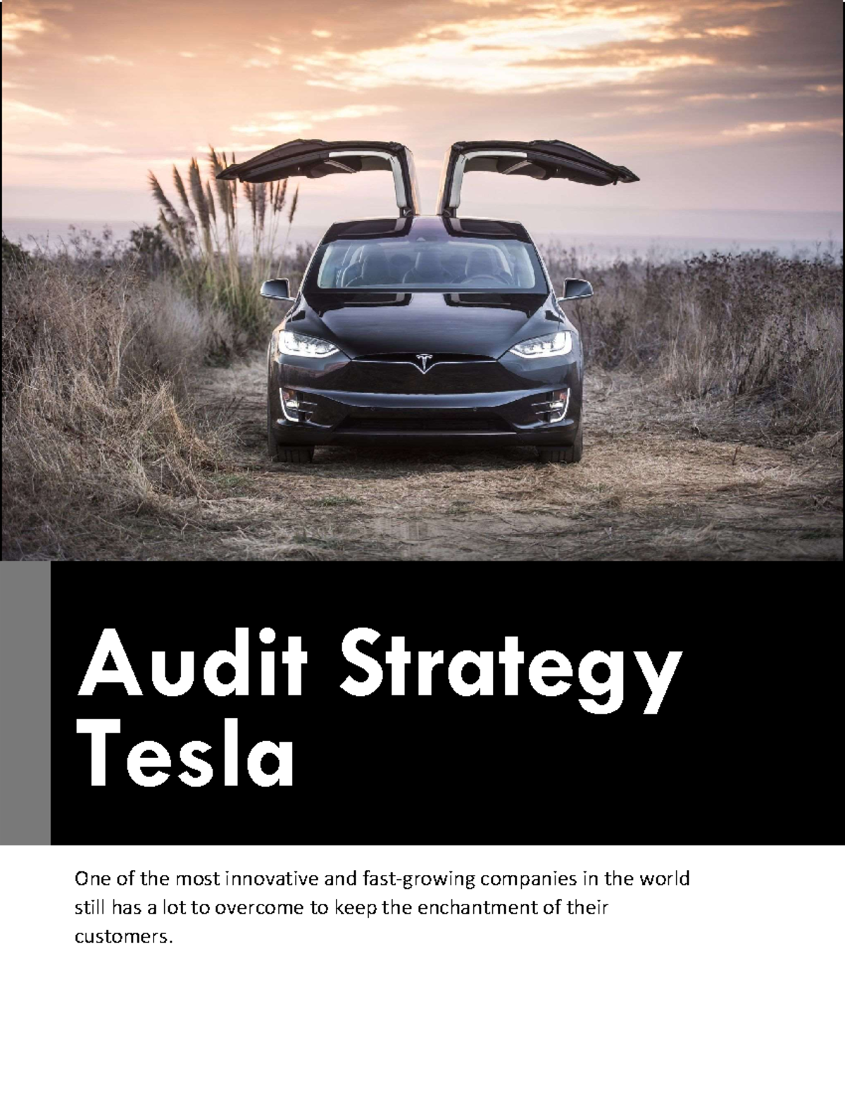 4C - Strategy Audit - Tesla - Audit Strategy Tesla One of the most ...