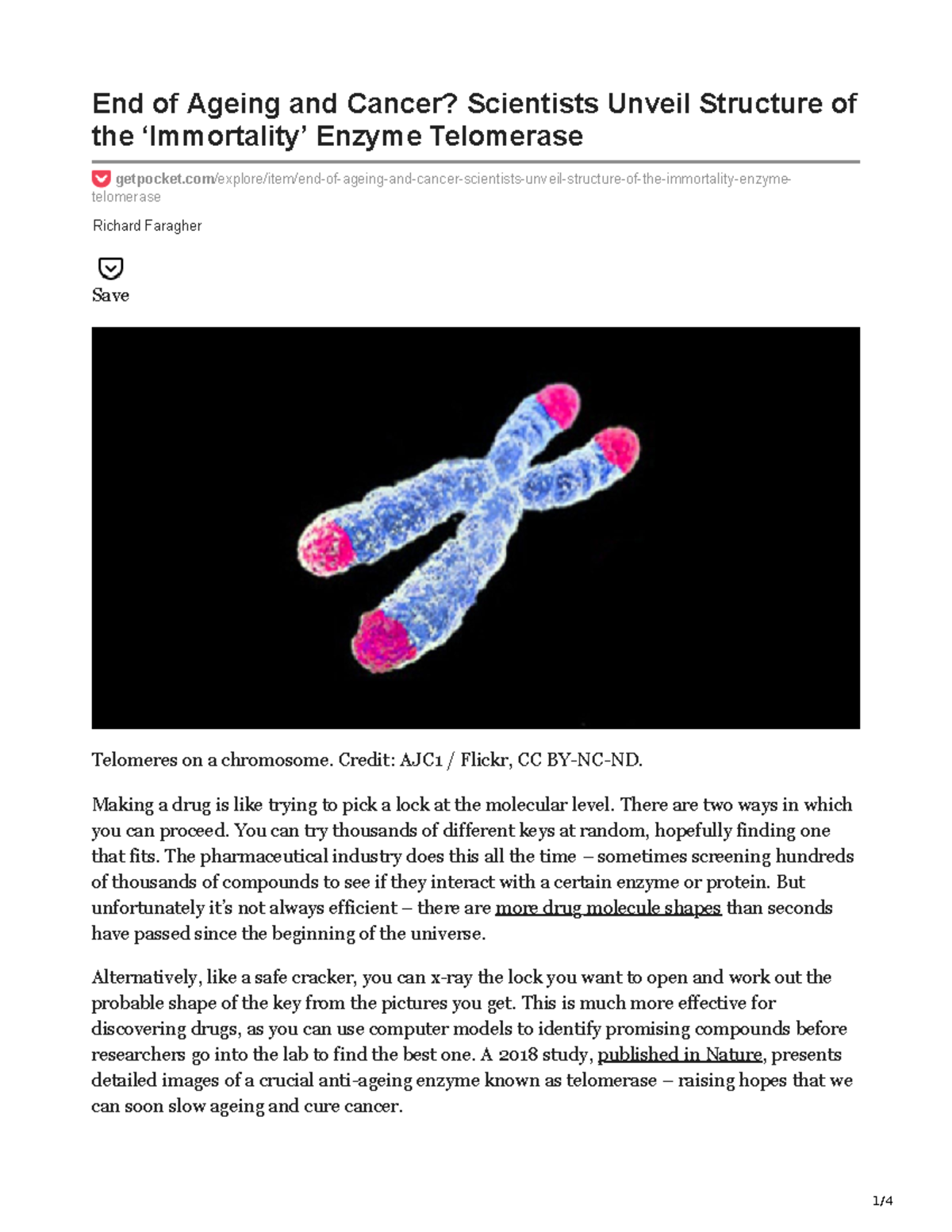End of Ageing and Cancer Scientists Unveil Structure of the Immortality ...