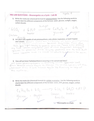 The Cell; Lab 3 - THE CELL LAB 3 Name: Section: PRE-LAB QUESTIONS – The ...
