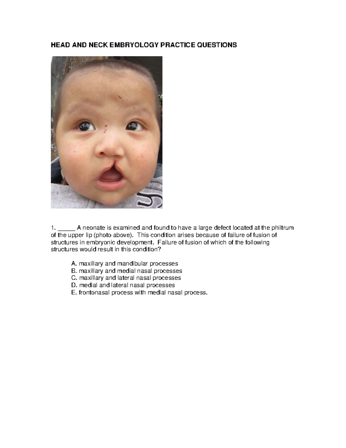 Embryology review questions - HEAD AND NECK EMBRYOLOGY PRACTICE ...