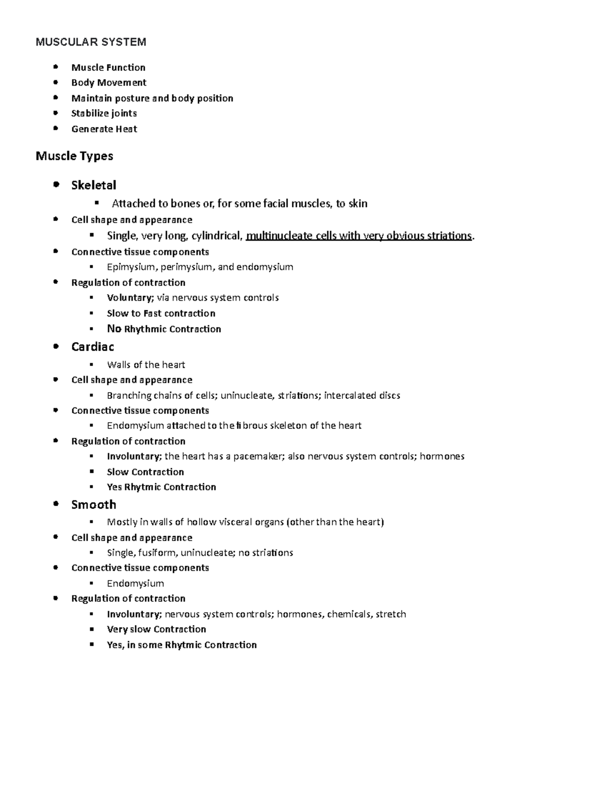 Anaphy Muscular System (2023)( Updated) - MUSCULAR SYSTEM Muscle ...