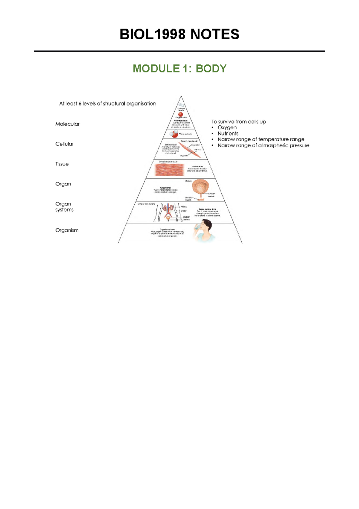 BIOL1998 Notes Module 1 and 2 - BIOL1998 NOTES MODULE 1: BODY MODULE 2 ...