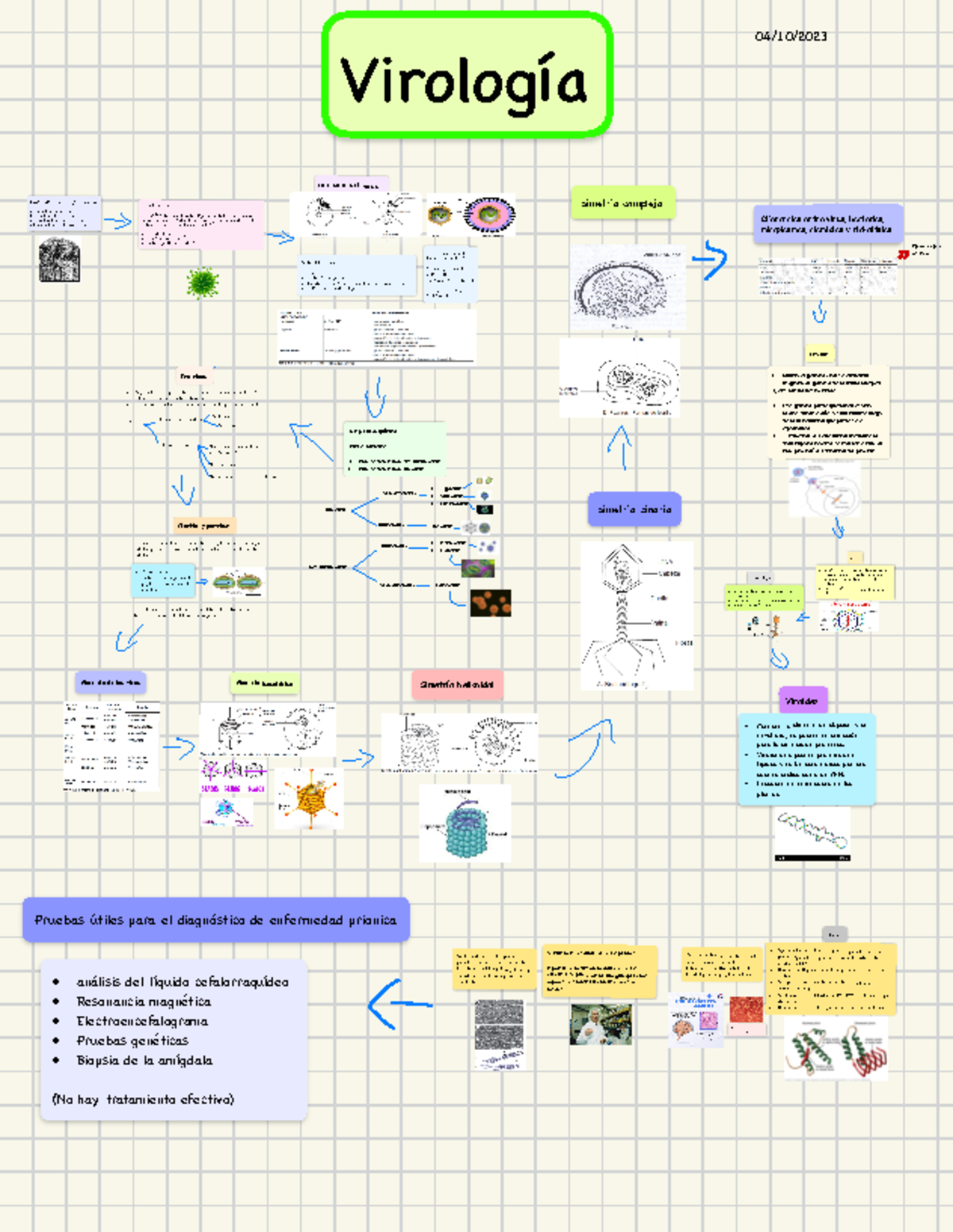 Virología - Virología Reseña histórica de la virología 1892 - 1972 ...