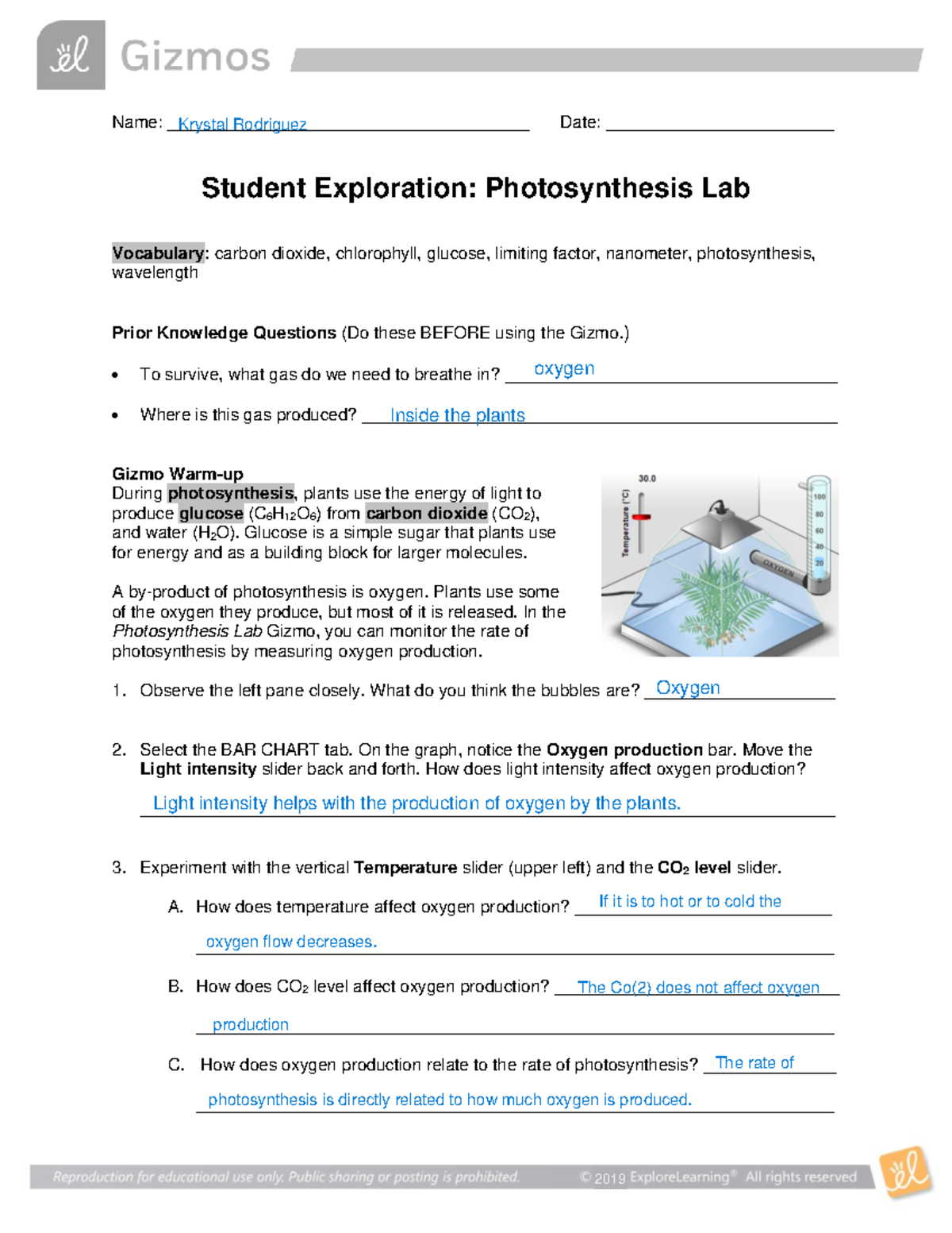 Photosynthesis Lab SE Gizmo Activity Worksheet Name photosynthesis-lab-se-gizmo-activity-worksheet-name