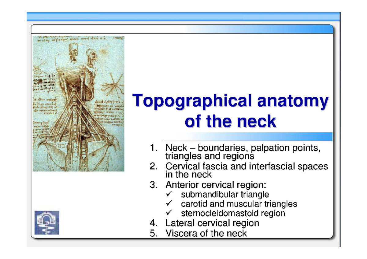 Topgraphical Anatomy of the Neck - Topographical anatomy Topographical ...