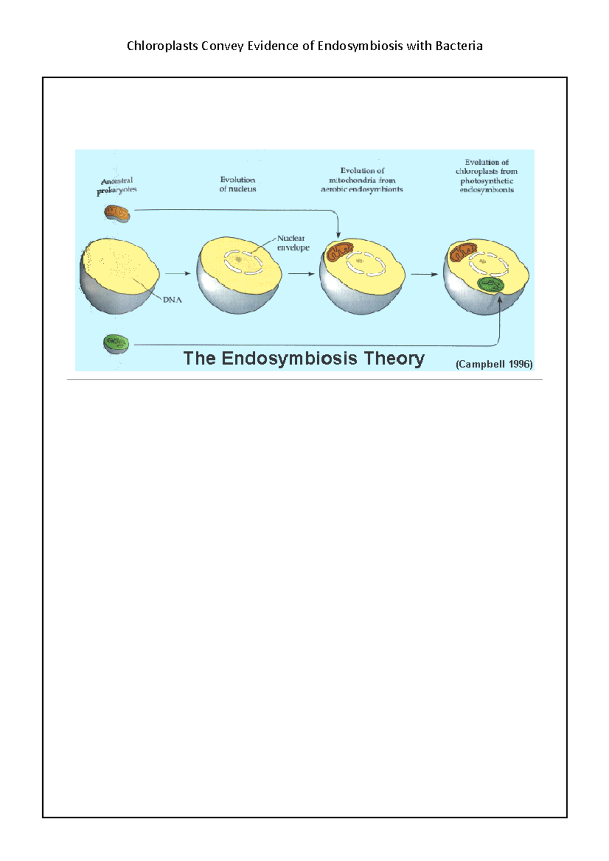 Biology IA1 - assignment for bio - Xx Rationale The purpose of this ...