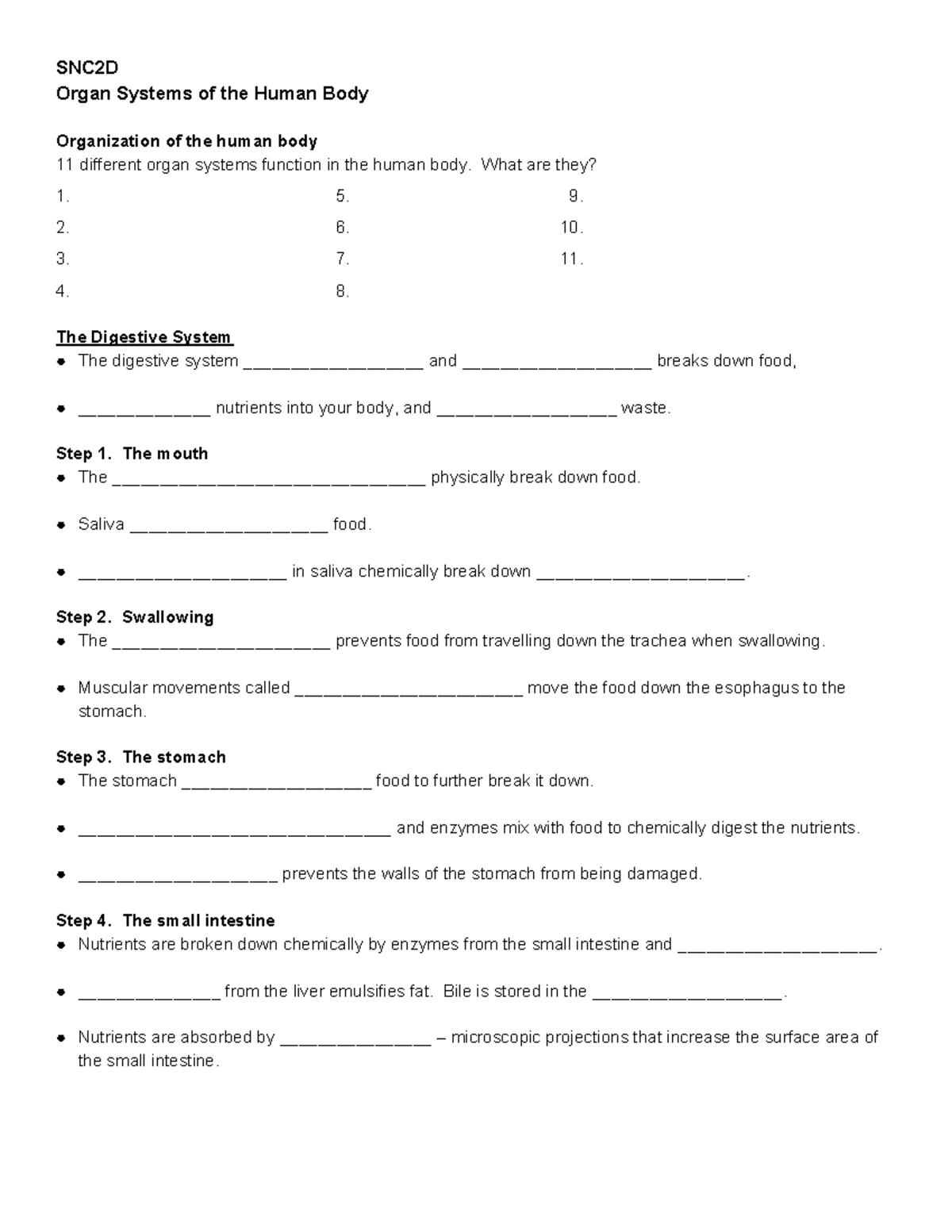 11a - The Digestive System - SNC2D Organ Systems of the Human Body Organization of the human ...