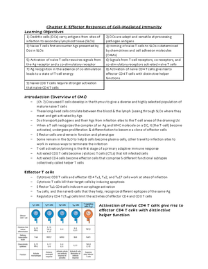 Chapter 3 - Notes - Chapter 3: Innate Immunity Learning Objectives ...