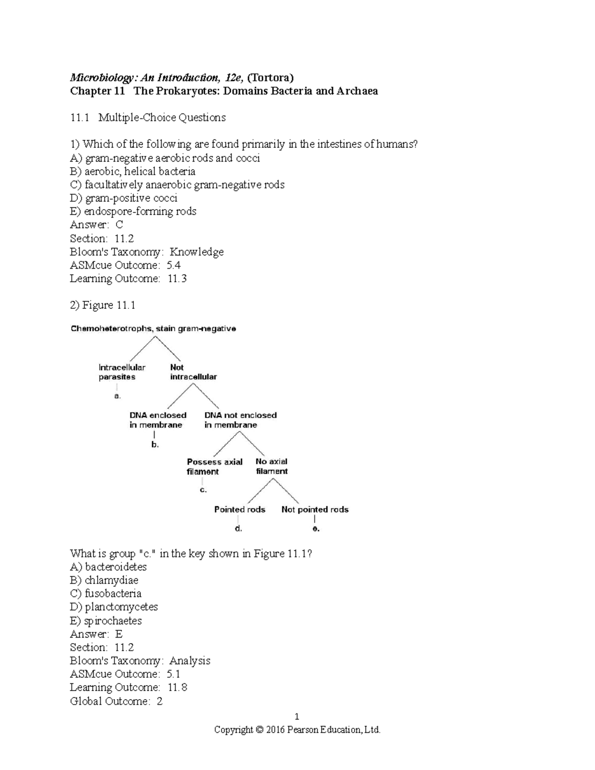 11-test-bank - exam - Microbiology: An Introduction, 12e, (Tortora ...