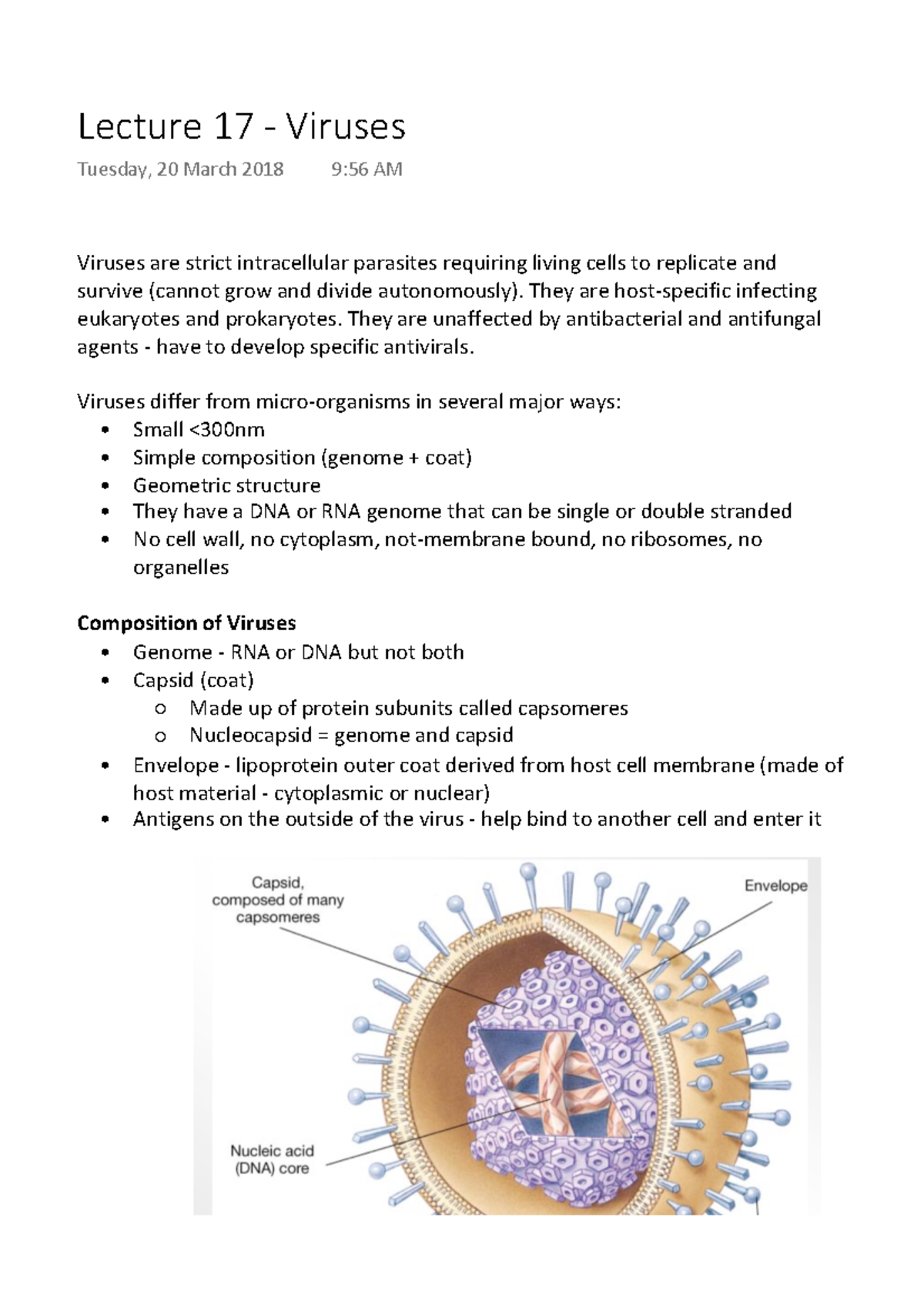 Lecture 17 - Viruses - Warning: TT: undefined function: 32 Viruses are strict intracellular ...