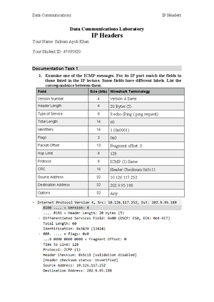 Practical - IP Headers - Documentation Template - Data Communications ...