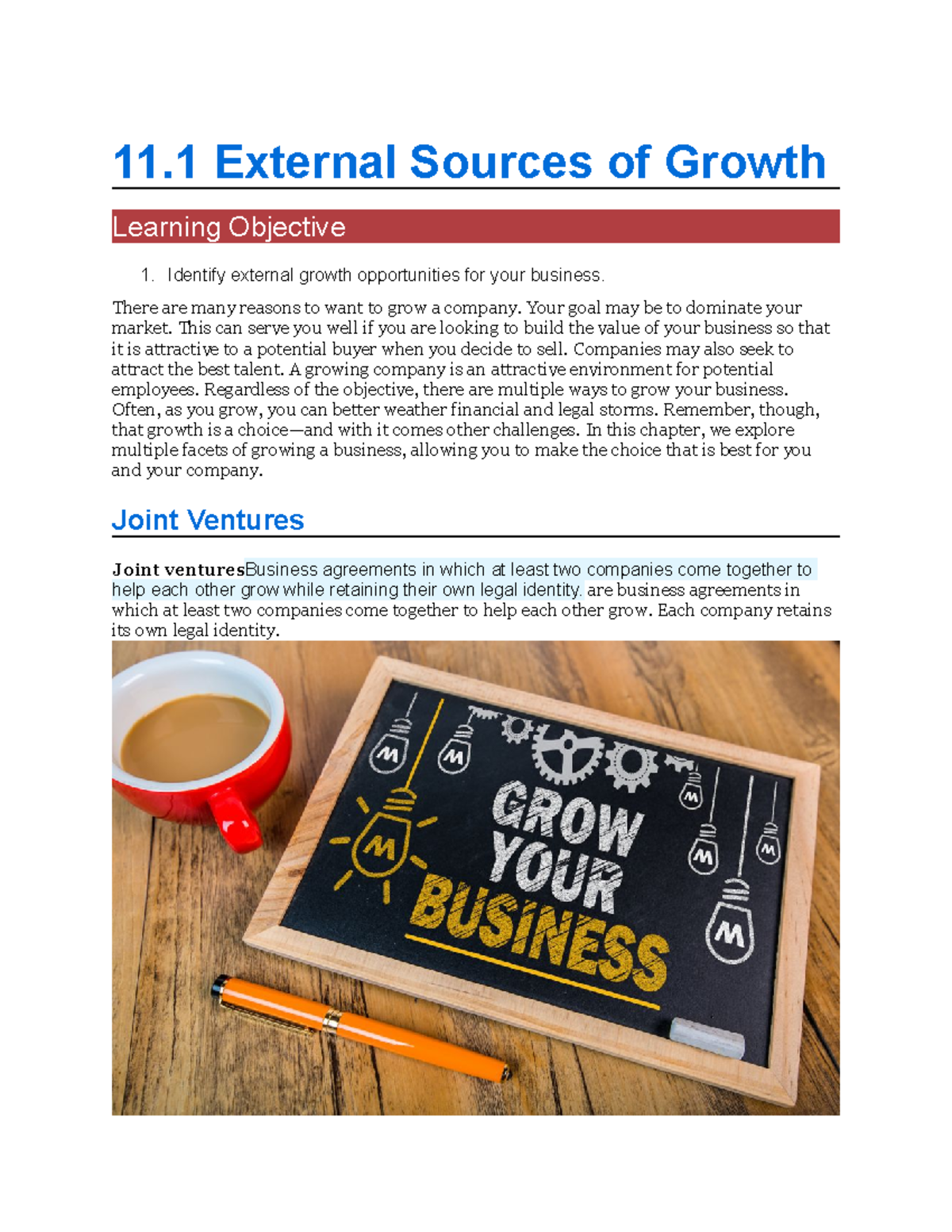 11.1 External Sources of Growth - 11 External Sources of Growth Learning Objective Identify ...
