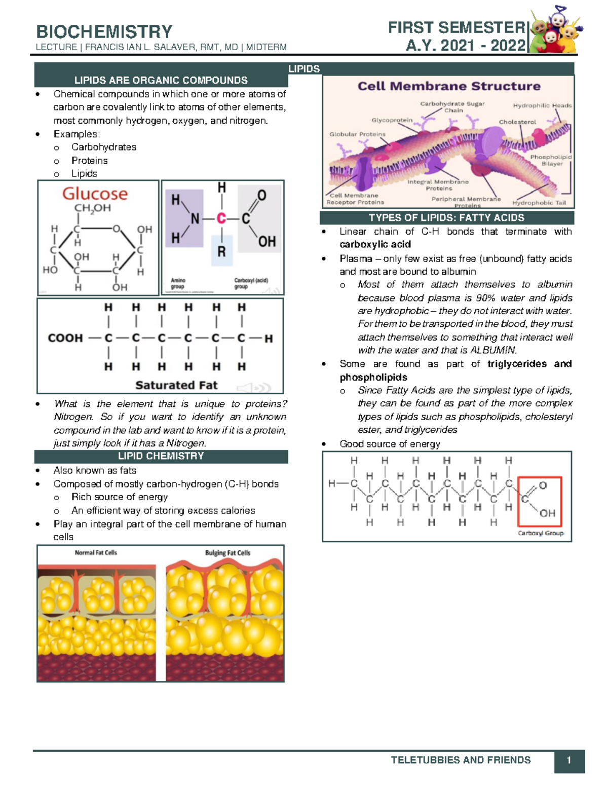 Lecture 8a - Lipids 1 - BIOCHEMISTRY LECTURE | FRANCIS IAN L. SALAVER ...