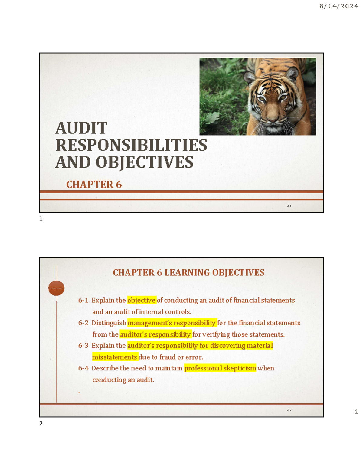 Slides - Chapter 6 - st version - 1 AUDIT RESPONSIBILITIES AND OBJECTIVES CHAPTER 6 6- CHAPTER 6 ...