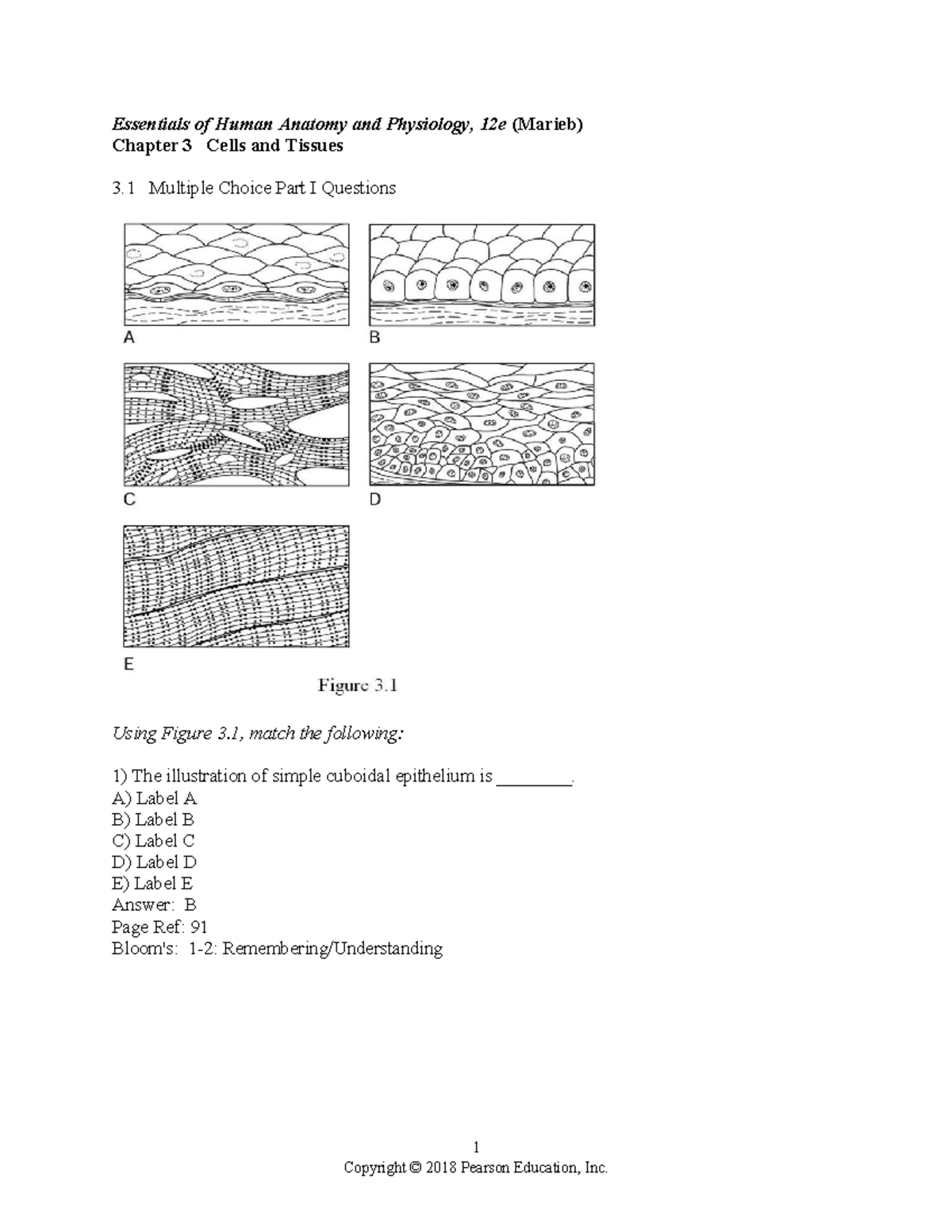 Ch3 - Quiz questions - Essentials of Human Anatomy and Physiology, 12e ...