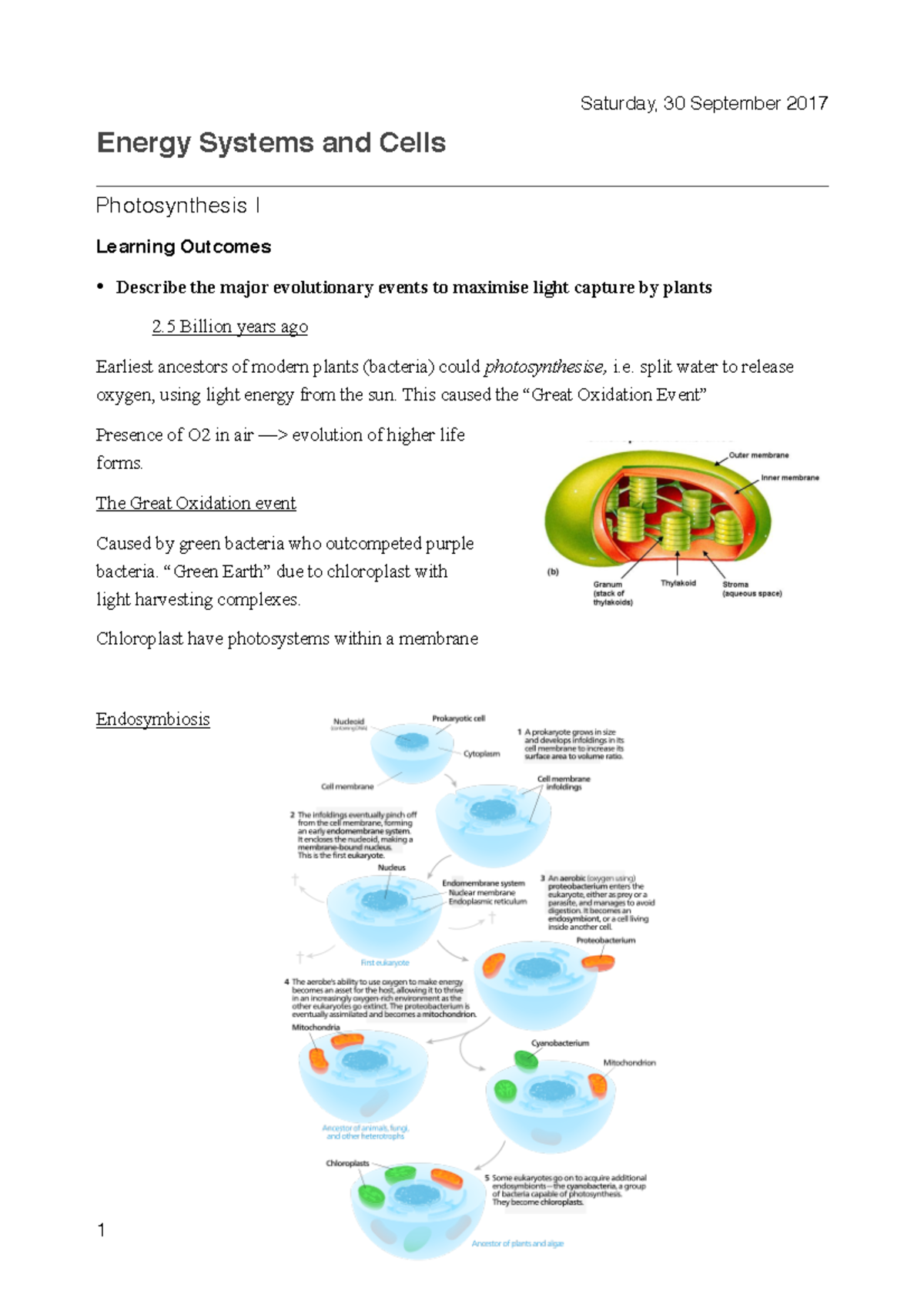Bio1007 notes - Saturday, 30 September 2017 Energy Systems and Cells ...