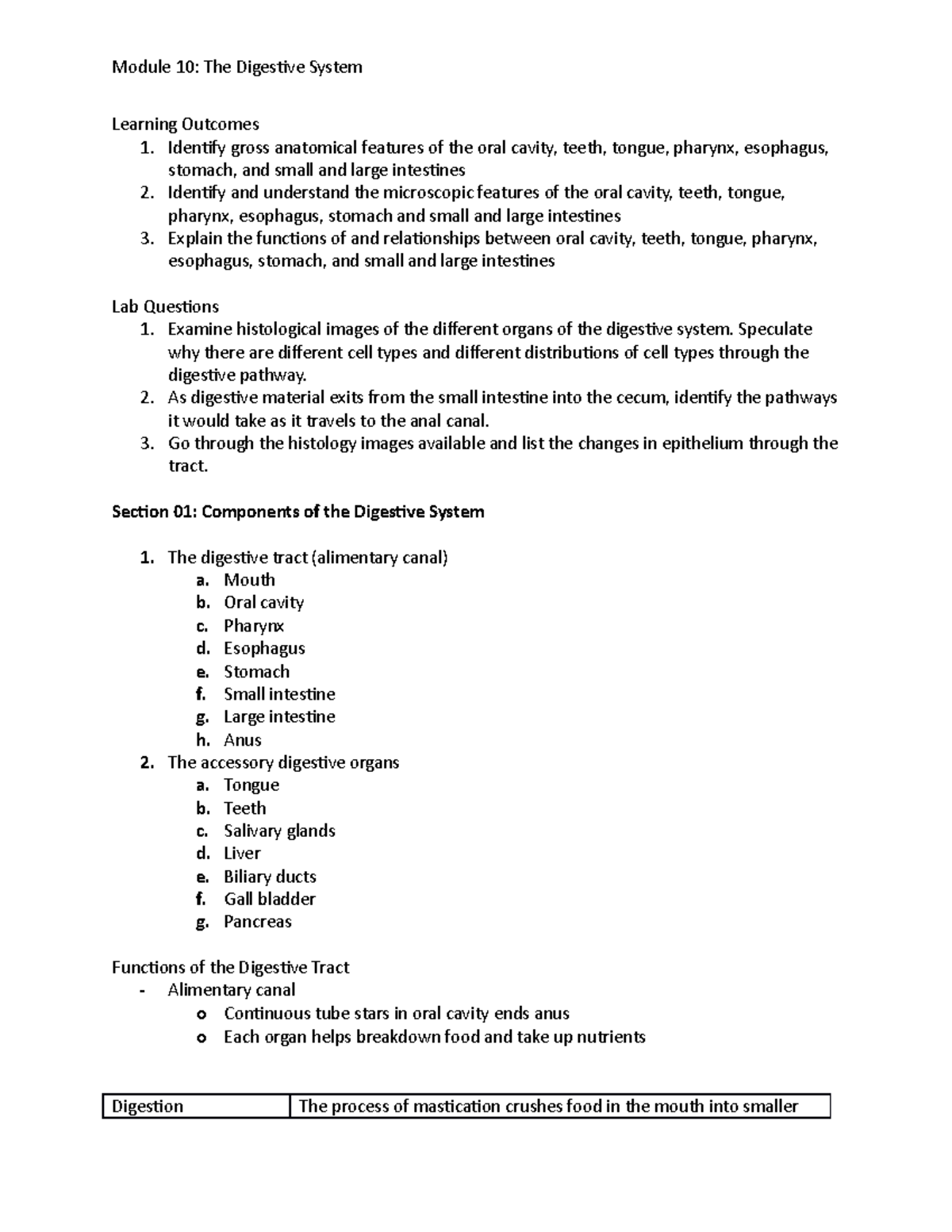 Module 10- The Digestive System - Module 10: The Digestive System ...