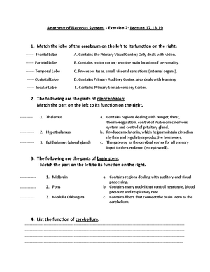Openstax Chapter 1 Study Guide 1 - Chapter 1 Study Guide An ...