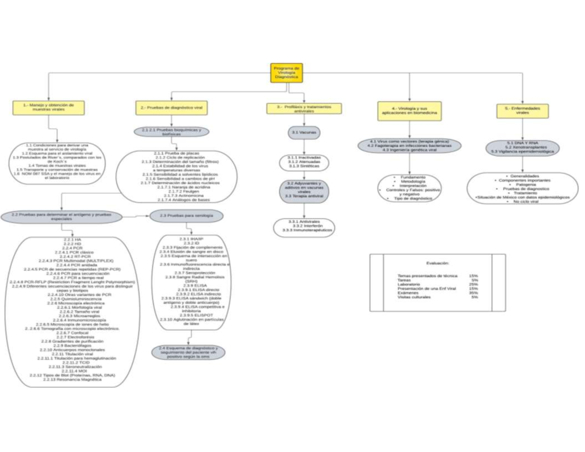 Mapa conceptual programa de la materia. Aviles Hernandez Johan Javier - Programs de Vircingle ...