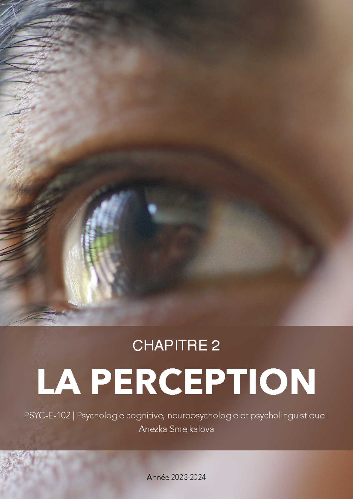 Chapitre 2 Perception - LA PERCEPTION CHAPITRE 2 PSYC-E-102 ...