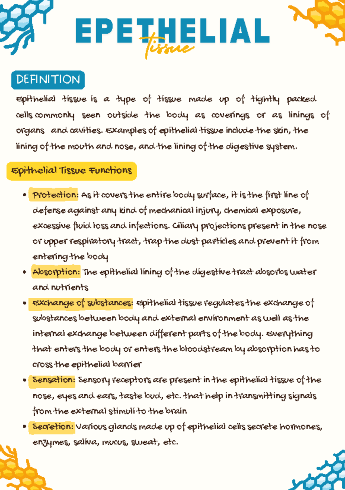 Notes ET - DEFINITION Epithelial tissue is a type of tissue made up of ...