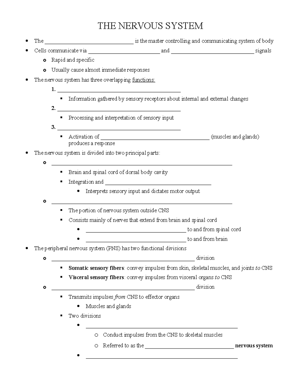 Nervous System - Last set of notes fill in the blank. Professor :Burns ...