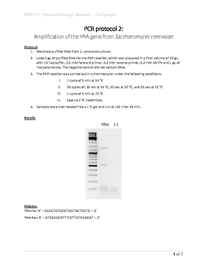 Lab 2 EN - Lab Protocol - Lab 2 PCR and restriction enzyme digestion ...