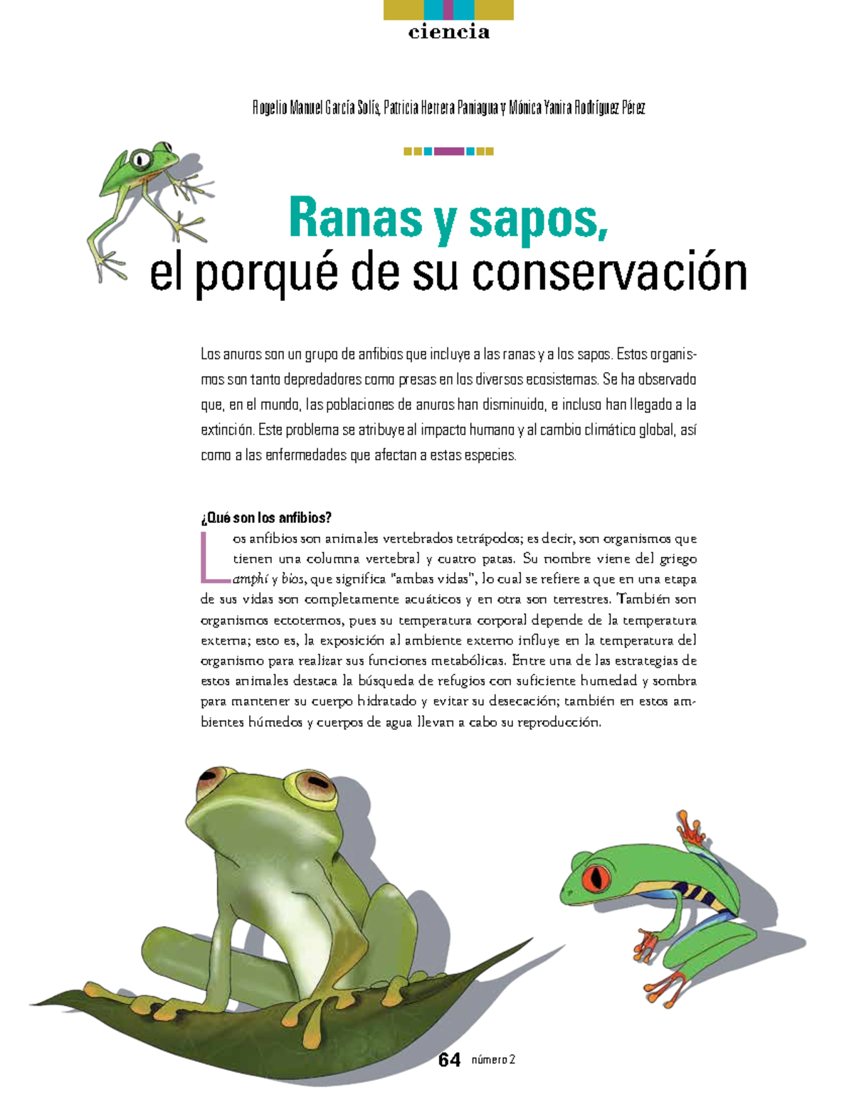 11 72 2 1245 - Jejejeje - ciencia Ranas y sapos, el porqué de su ...