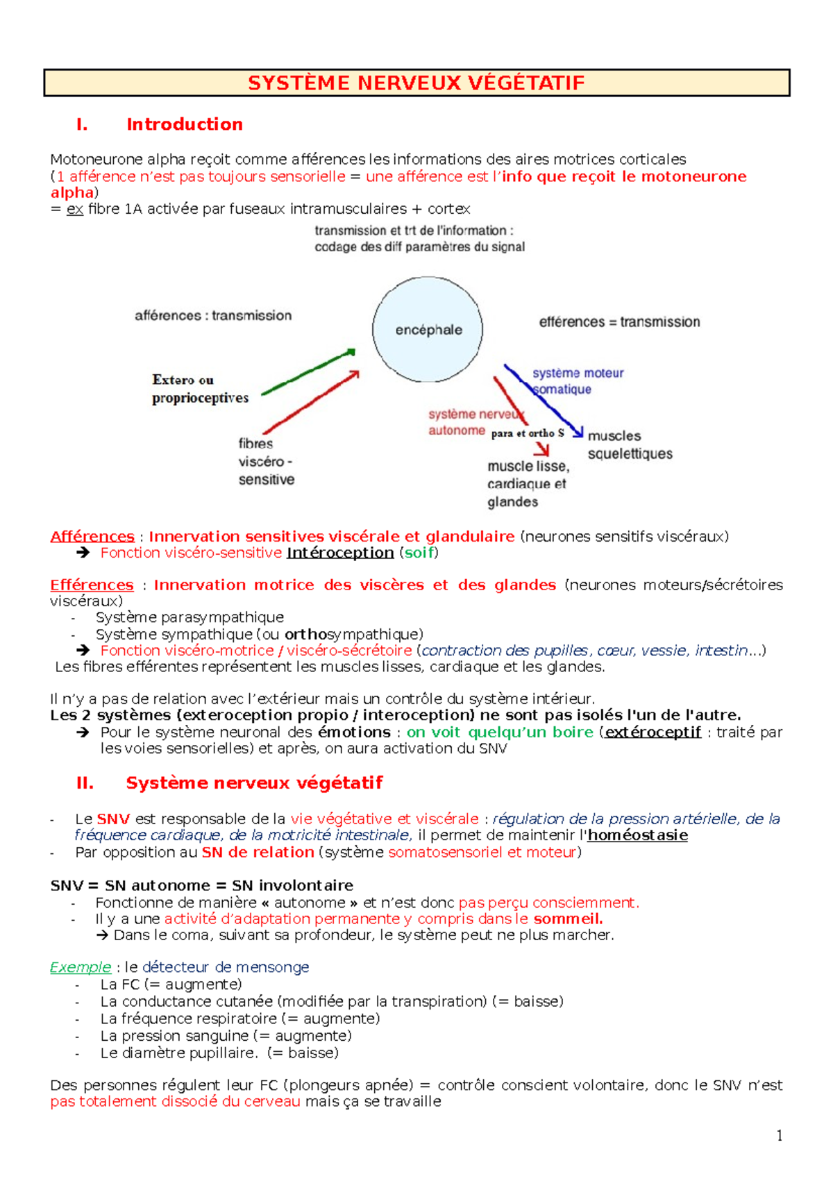 6. Système Nerveux végétatif - SYSTÈME NERVEUX VÉGÉTATIF I ...