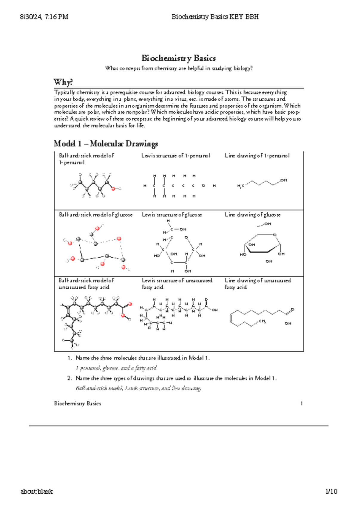 Biochemistry Basics POGIL - Biochemistry Basics 1 Biochemistry Basics ...