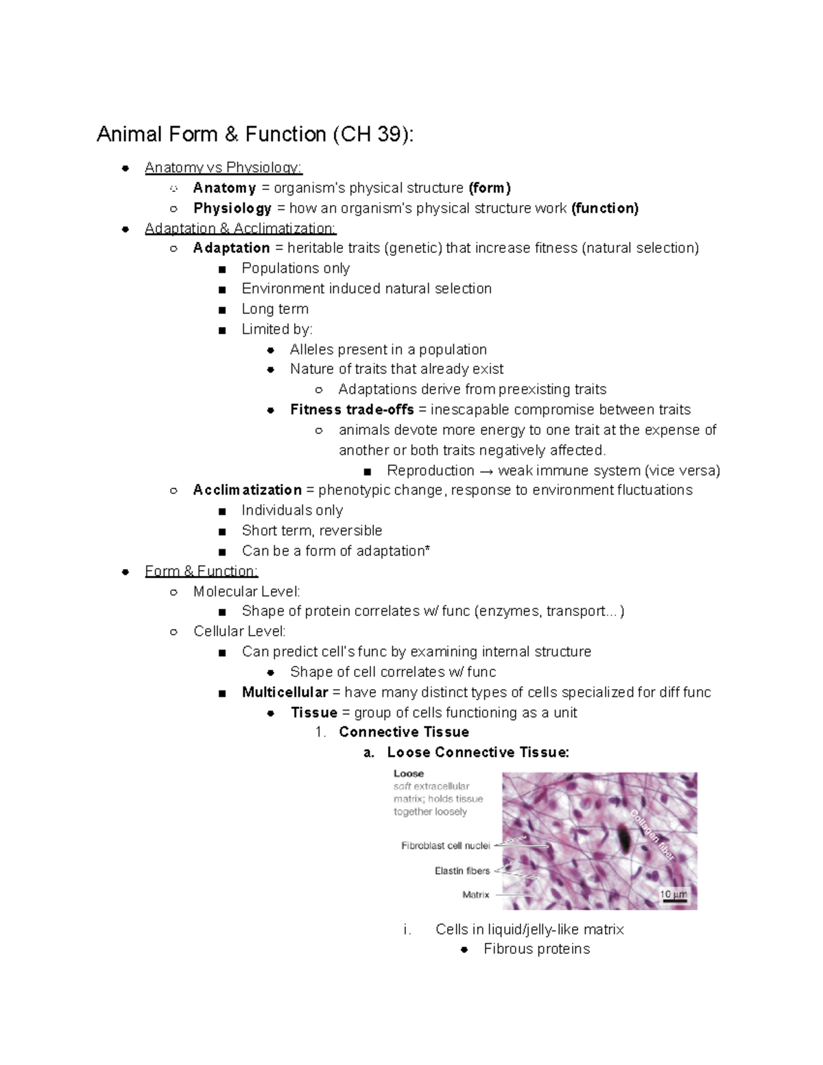 Bio 240 Exam 3 - Summary Biological Science - Animal Form & Function ...