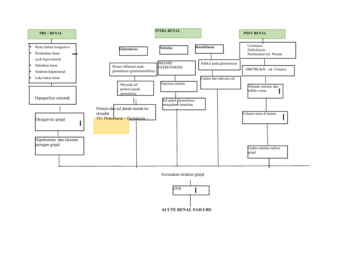 Patoflow ARF KEL 9 REV - hiii - POST RENAL Urolitiasis Nefrolitiasis ...