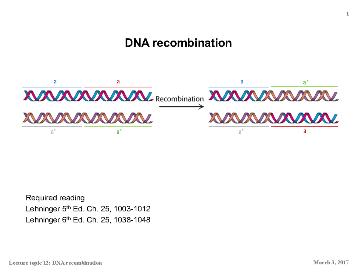Lecture 12 DNA recombination (PDF) - DNA recombination March 3, 2017 ...