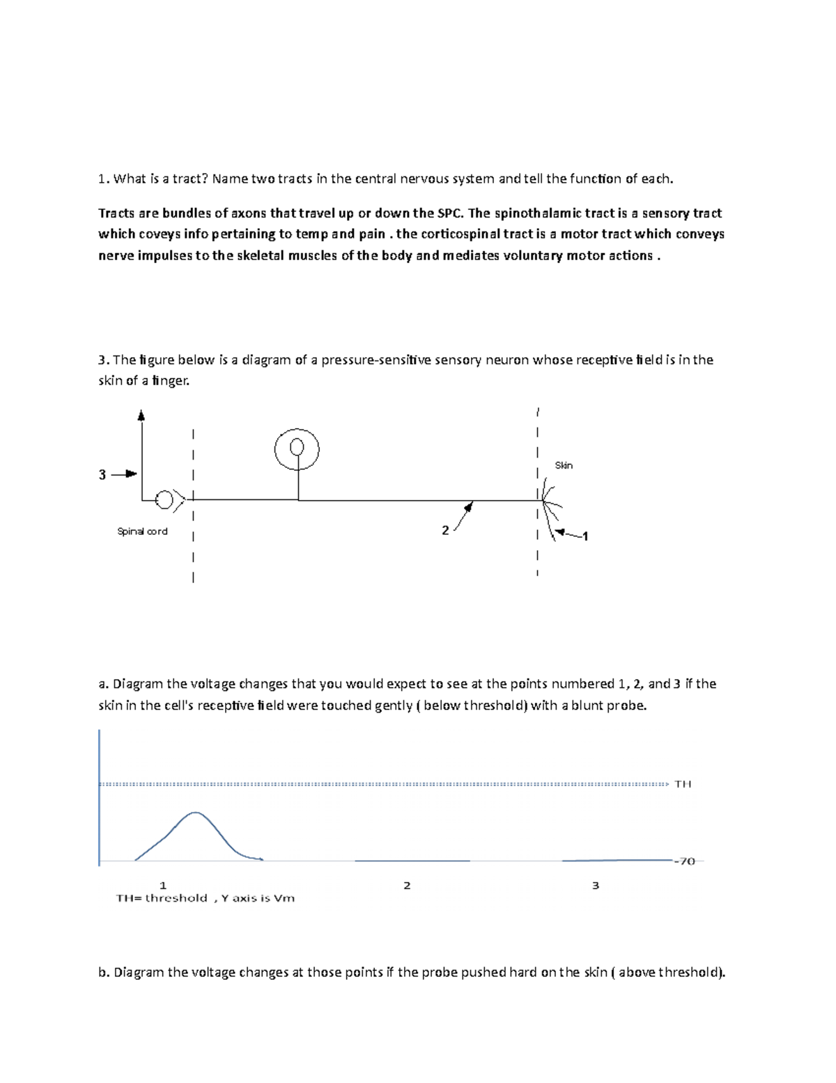 Sensory answers - Lecture notes 1 - 1. What is a tract? Name two tracts ...