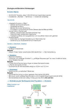 Neodermata - Neodermata Larve wirft bei Infektion des ersten Wirtes die ...