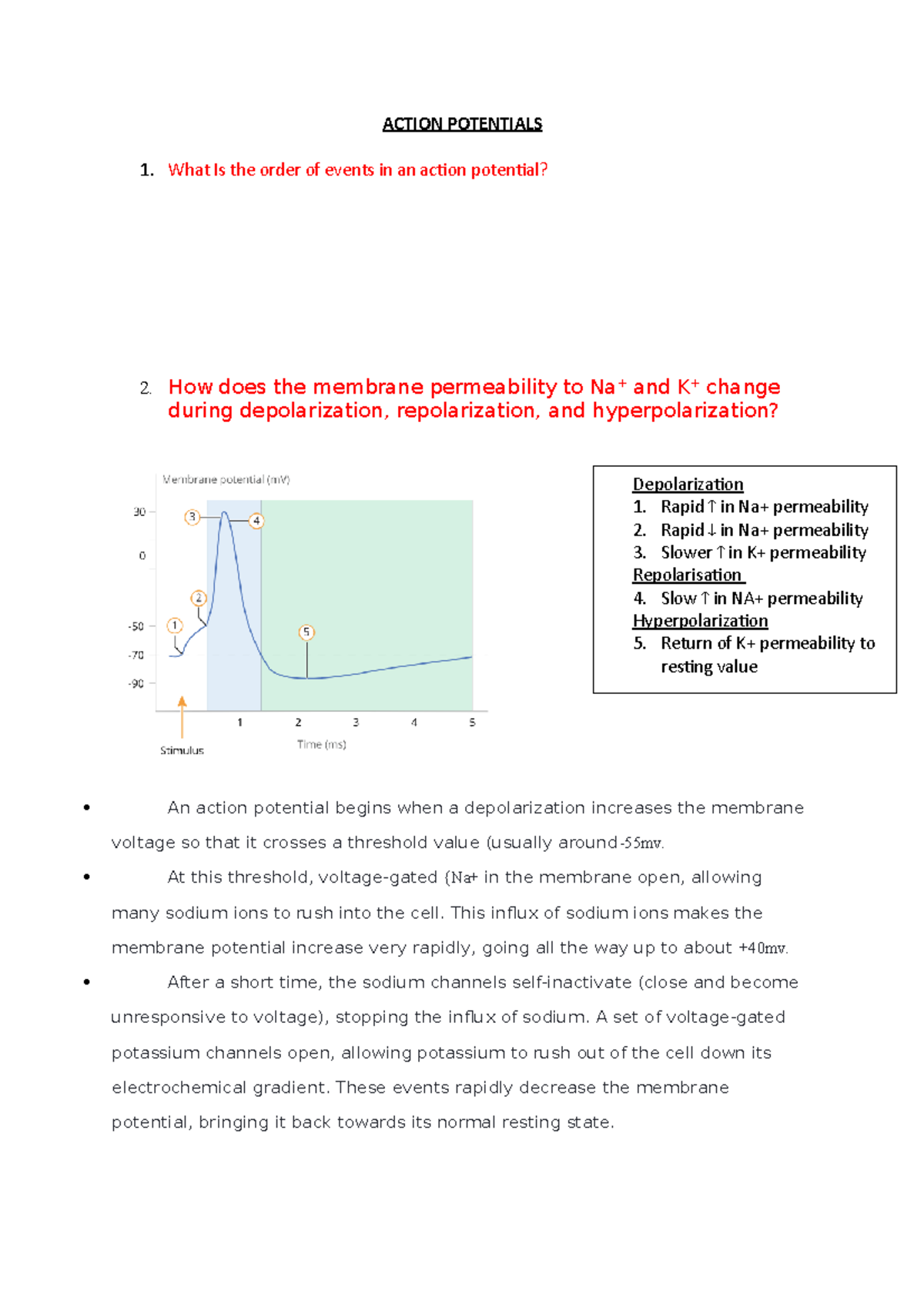 Action Potentials - ACTION POTENTIALS 1. What Is the order of events in ...