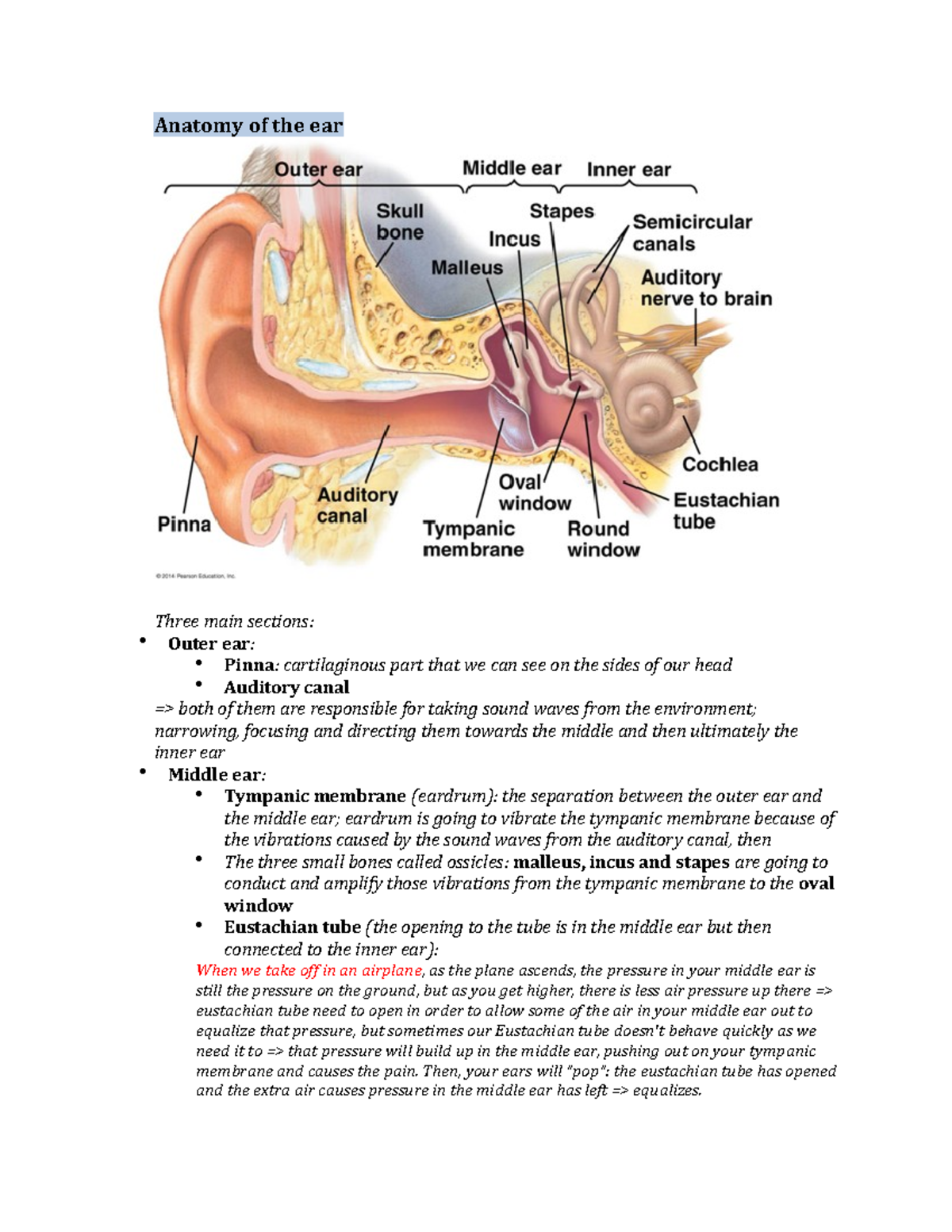 Chapter 50 50.2 The ear- hearing and equilibrium - Anatomy of the ear ...
