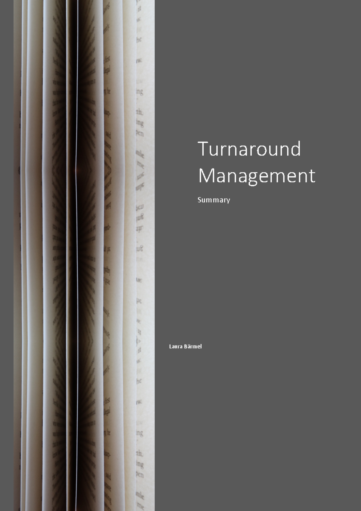 Turnaround Management Summary - Laura Bärmel Turnaround Management ...